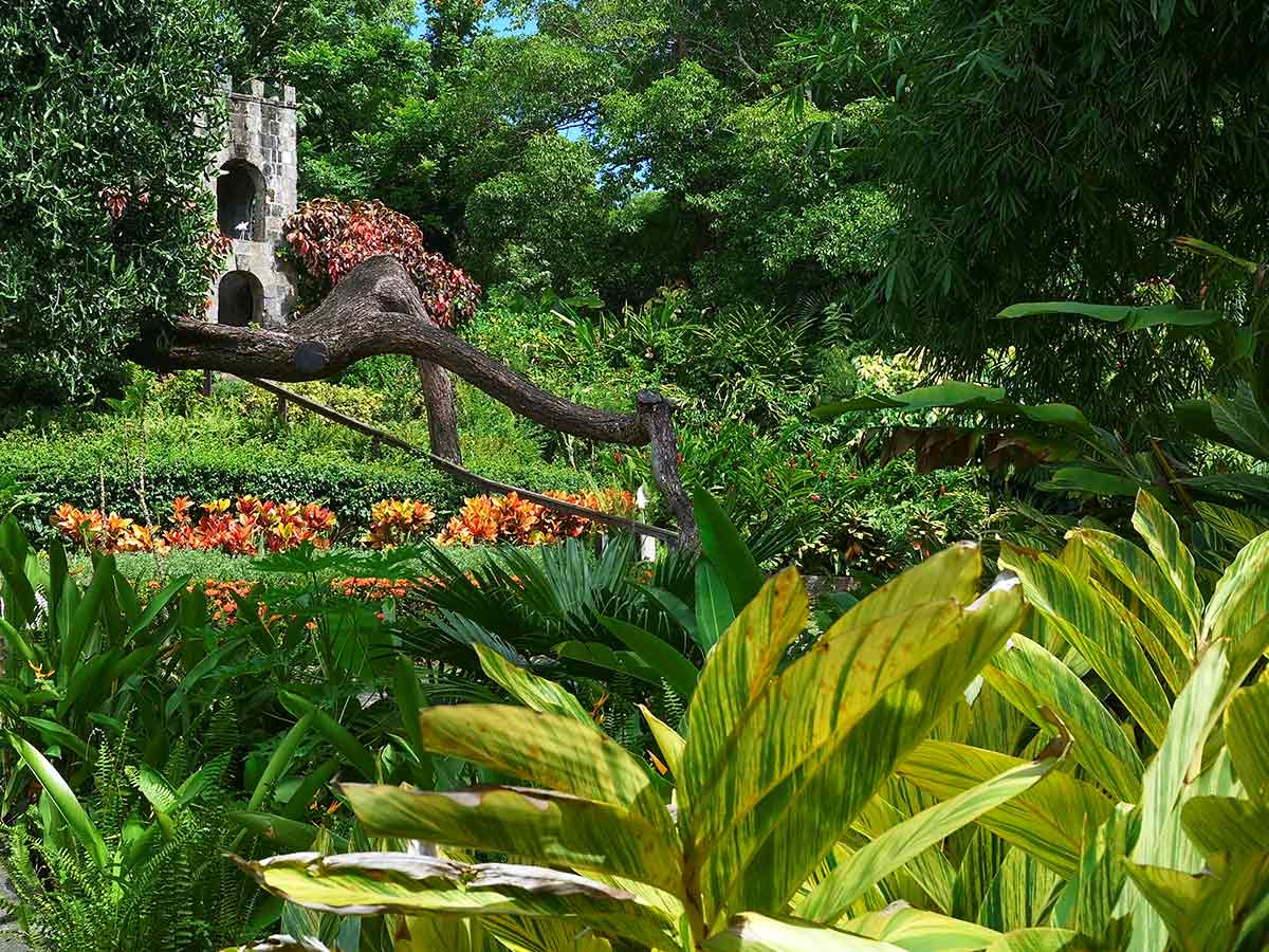 Romney Manor and Caribelle Batik - St Kitts and Nevis visitor guide